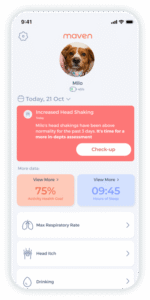 Dog’s Back Legs Shaking: Causes, Concerns, and When to See a Vet