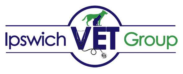 Maven AI-Vet™ | Ipswich Vet Group