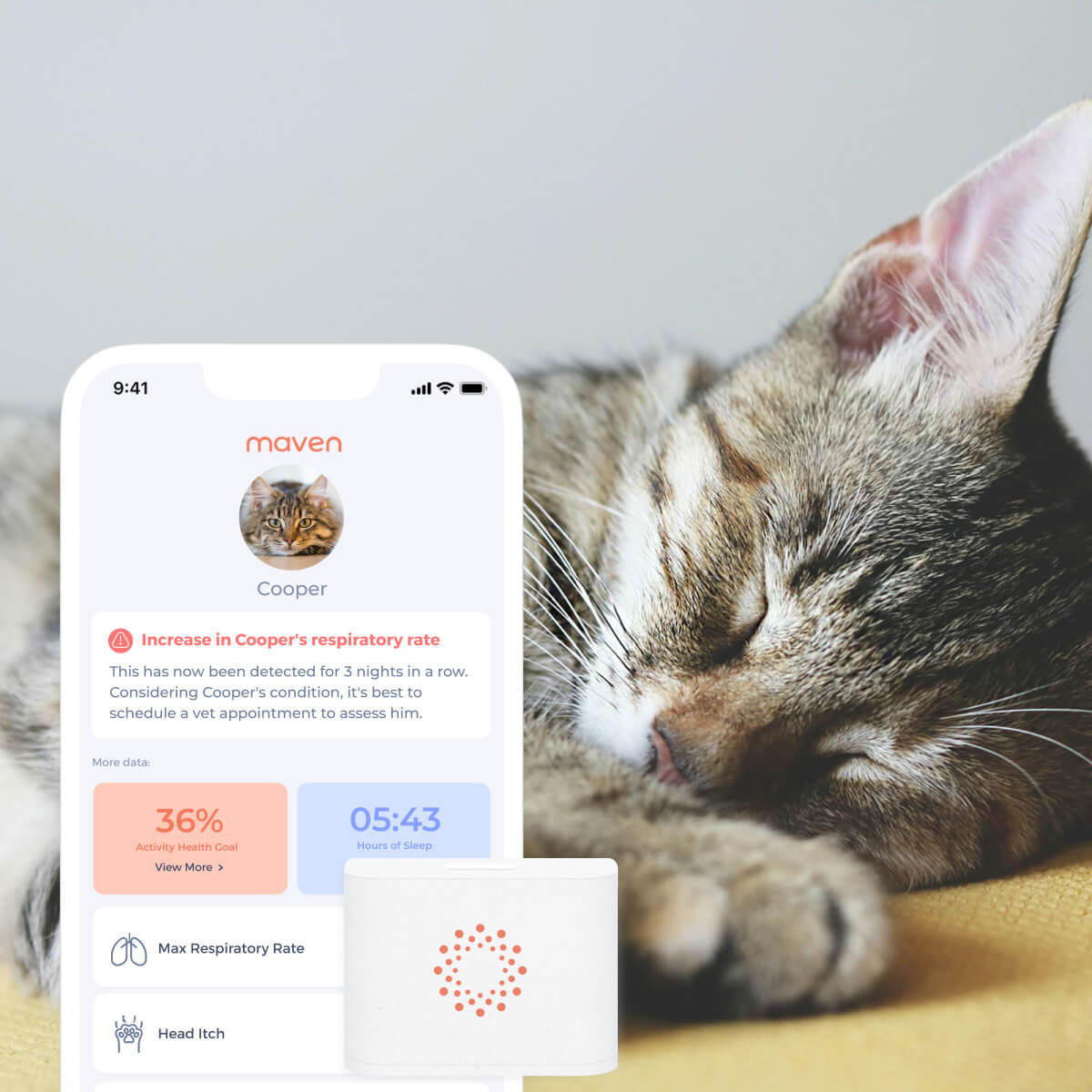 Maven Pet Cat Health Tracker | 24/7 Cat Health Monitoring