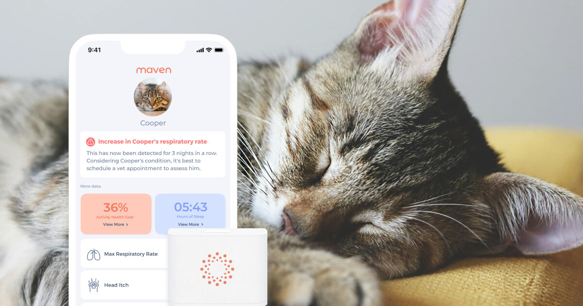 Cat Activity Tracker | Detect Changes in Daily Behavior